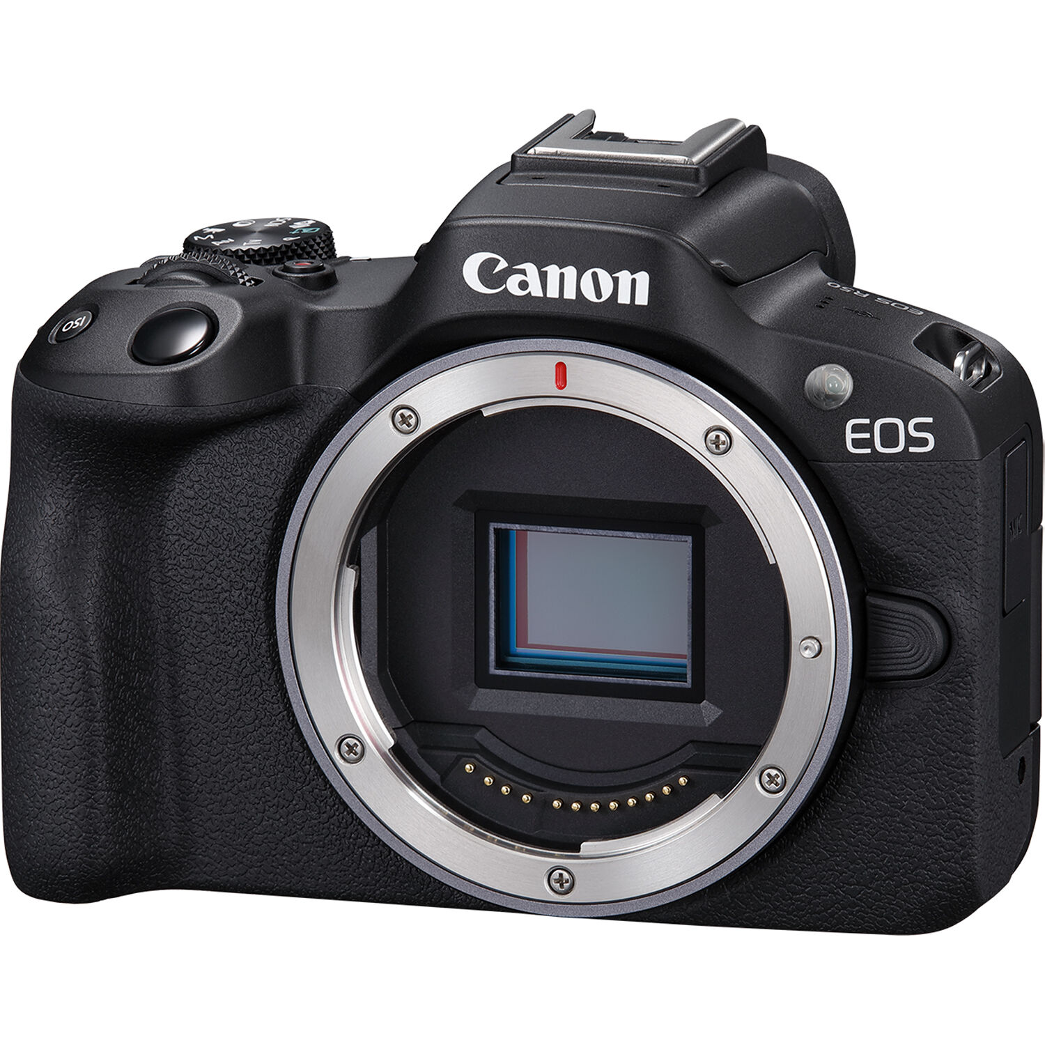 Canon Camera and Lens Deals - Canon Price Watch